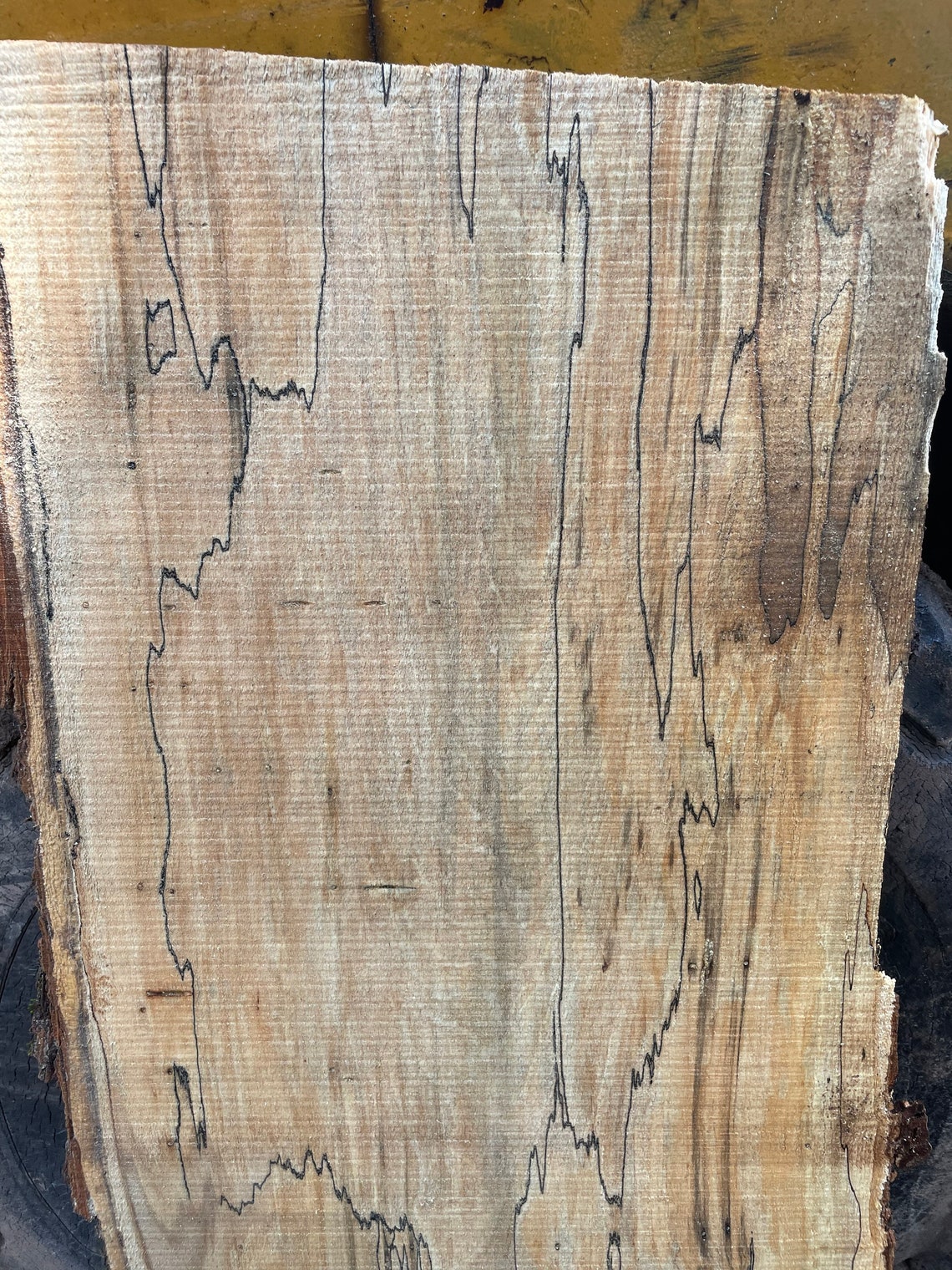 Spalted Maple Slab 1327 - Etsy