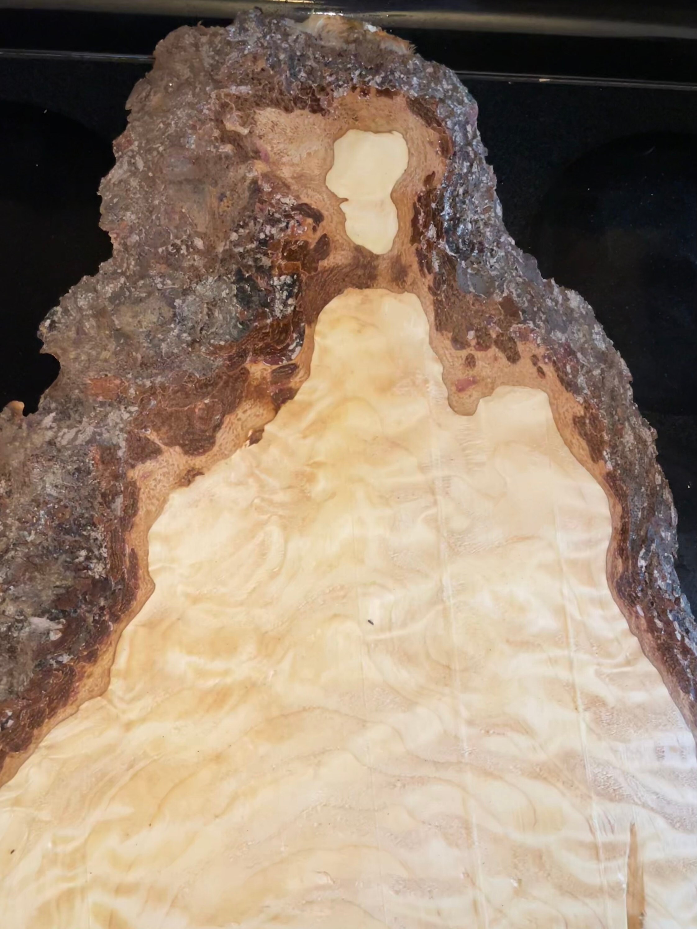 Curly Pine Slab 1547 - Etsy