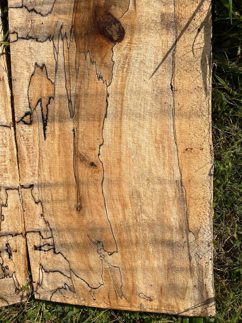 Spalted Maple Book Matched Set 1400 - Etsy