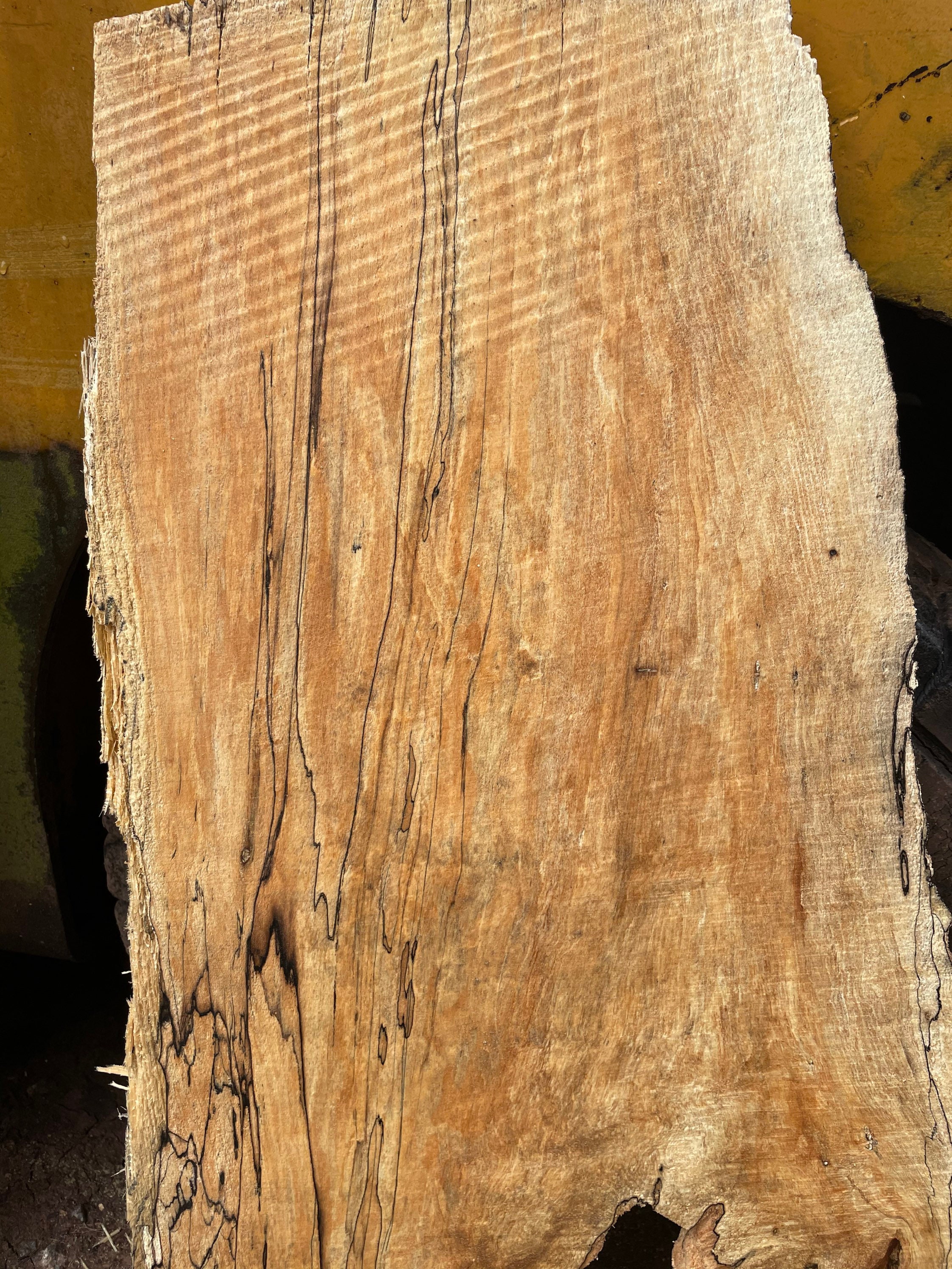 Spalted Maple Slab 1088 - Etsy