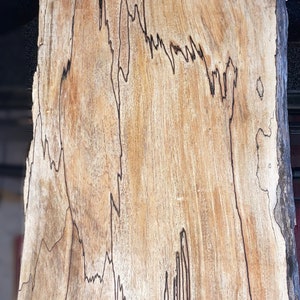 Spalted Maple Slab #1837 - Etsy