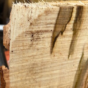Ambrosia (wormy) Soft Maple Slab #1234 - Etsy