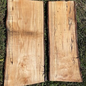 Book Matched Spalted Maple Slabs #1182 - Etsy