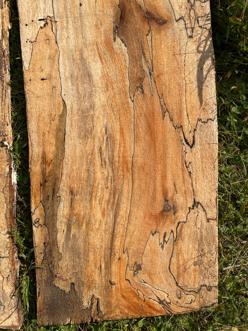 Spalted Maple Book Matched Set 1400 - Etsy