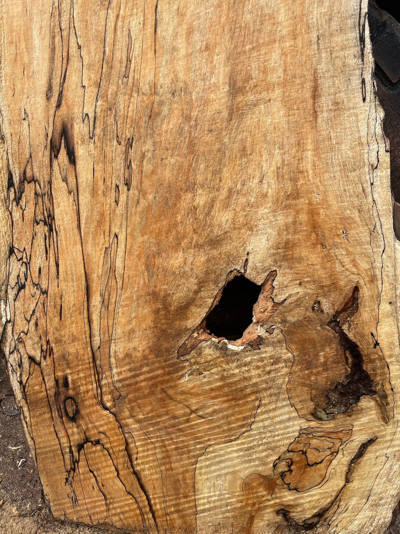 Spalted Maple Slab 1088 - Etsy