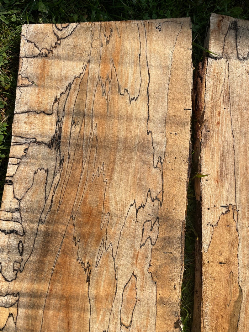 Spalted Maple Book Matched Set 1400 - Etsy