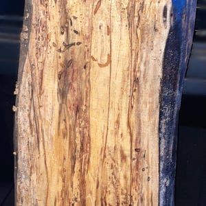 Spalted Maple Slab #1934 - Etsy
