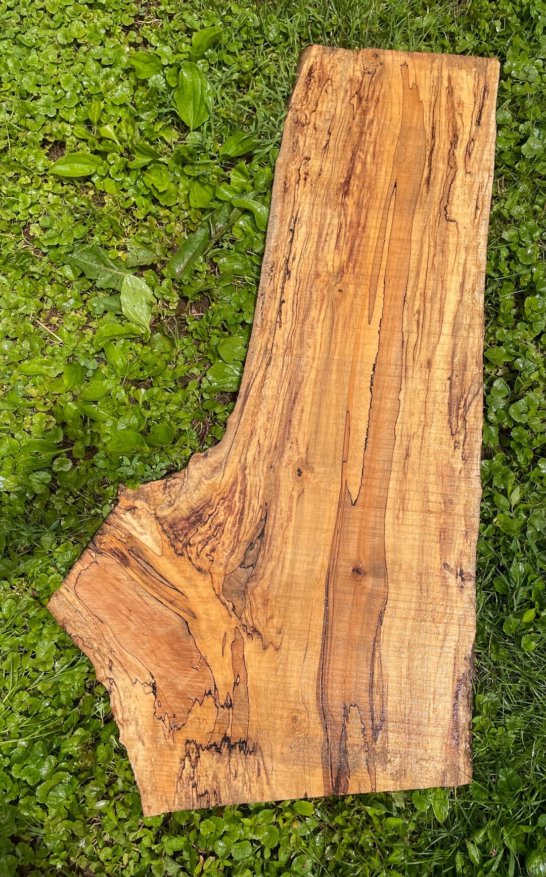 Spalted Maple Slab #2010 - Etsy
