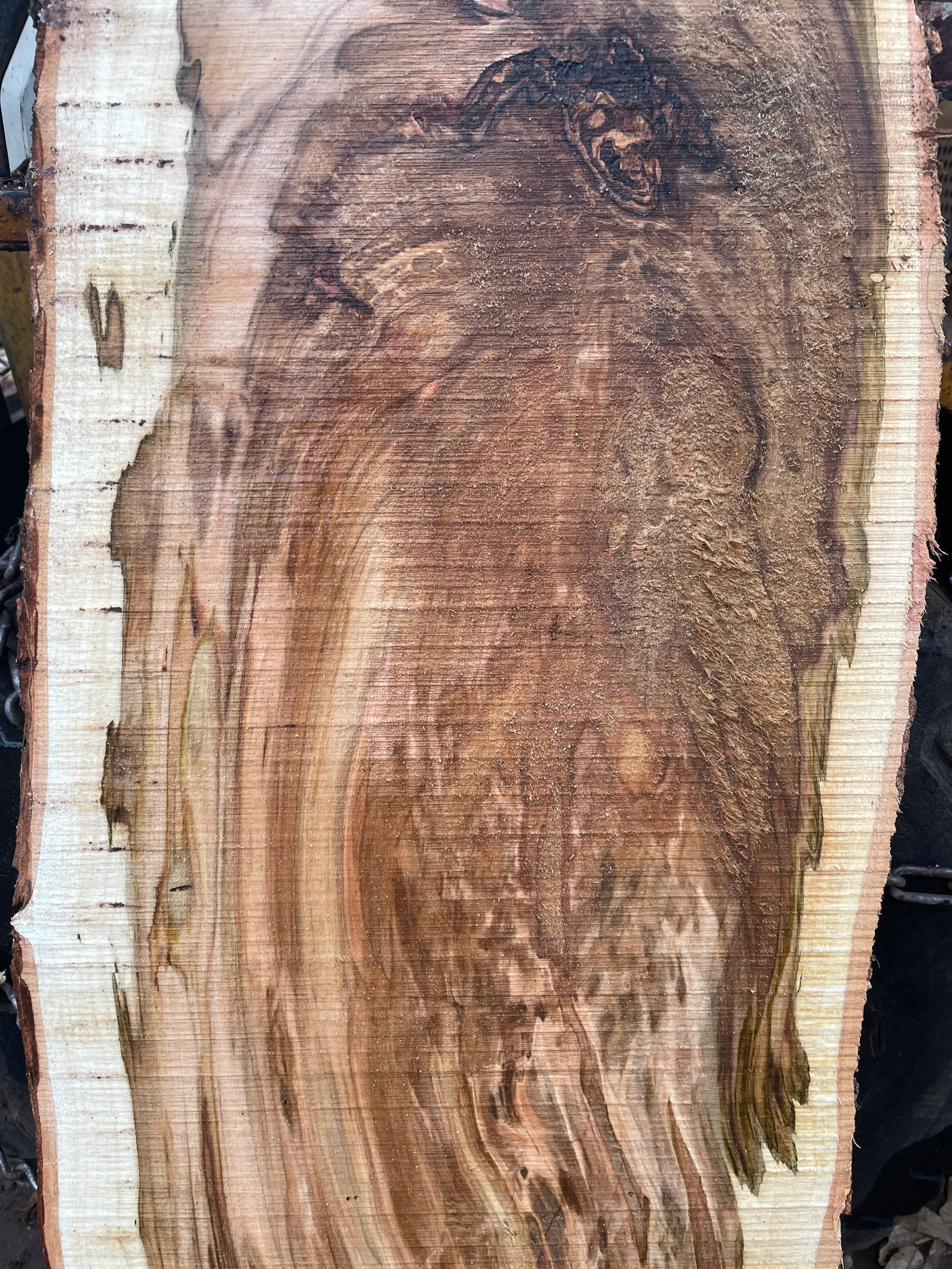 Ambrosia (wormy) Soft Maple Slab #1234 - Etsy