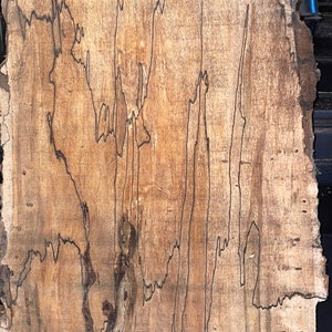 Spalted Maple Slab #1602 - Etsy