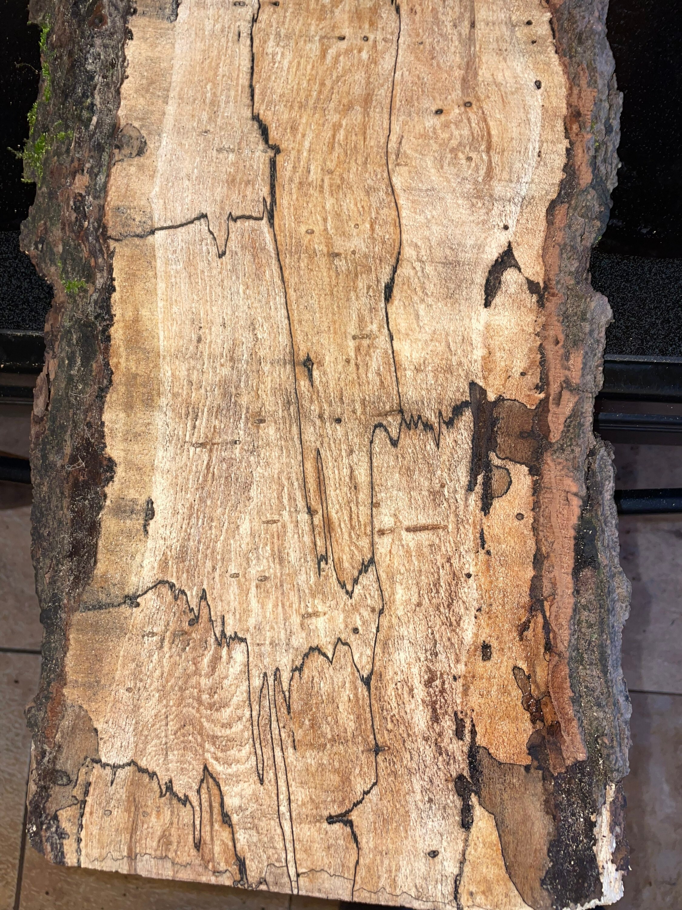 Spalted Maple Slab 1445 - Etsy