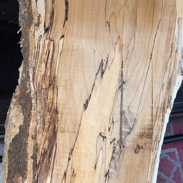 Spalted Maple Slab 1490 - Etsy