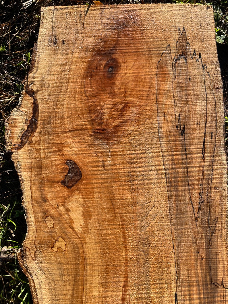 Spalted Maple Slab With Crotch Grain 1197 - Etsy