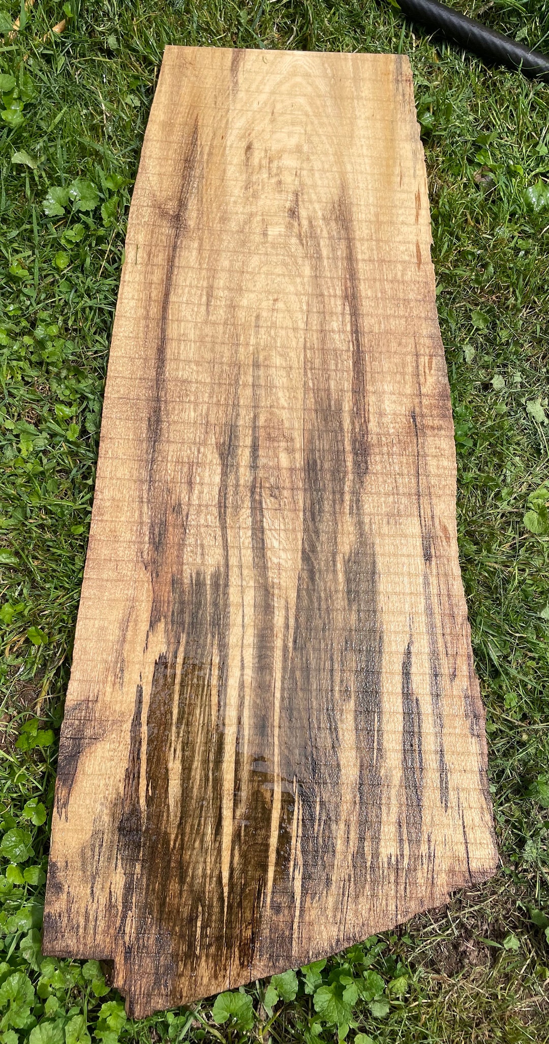 Hackberry Slab With Staining #1873 - Etsy