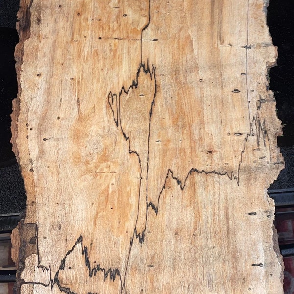 Spalted Maple - Etsy