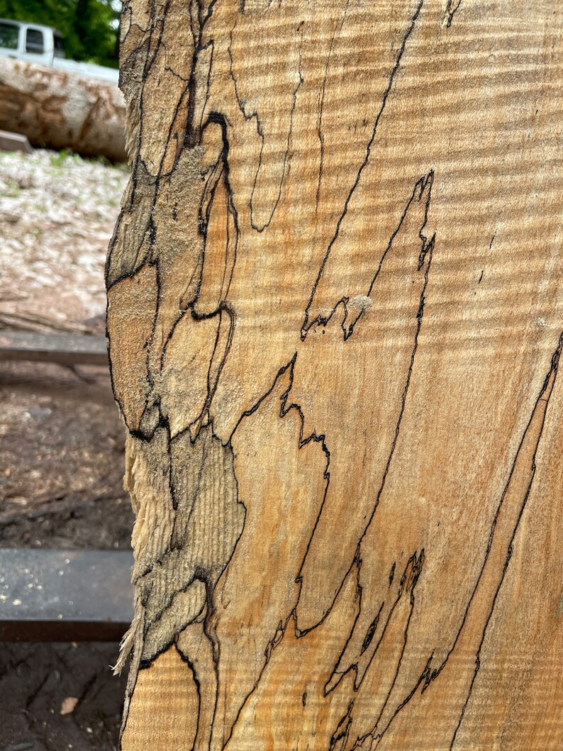 Book Matched Spalted Maple Set 1090 - Etsy