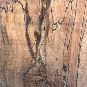Spalted Maple Slab #1602 - Etsy