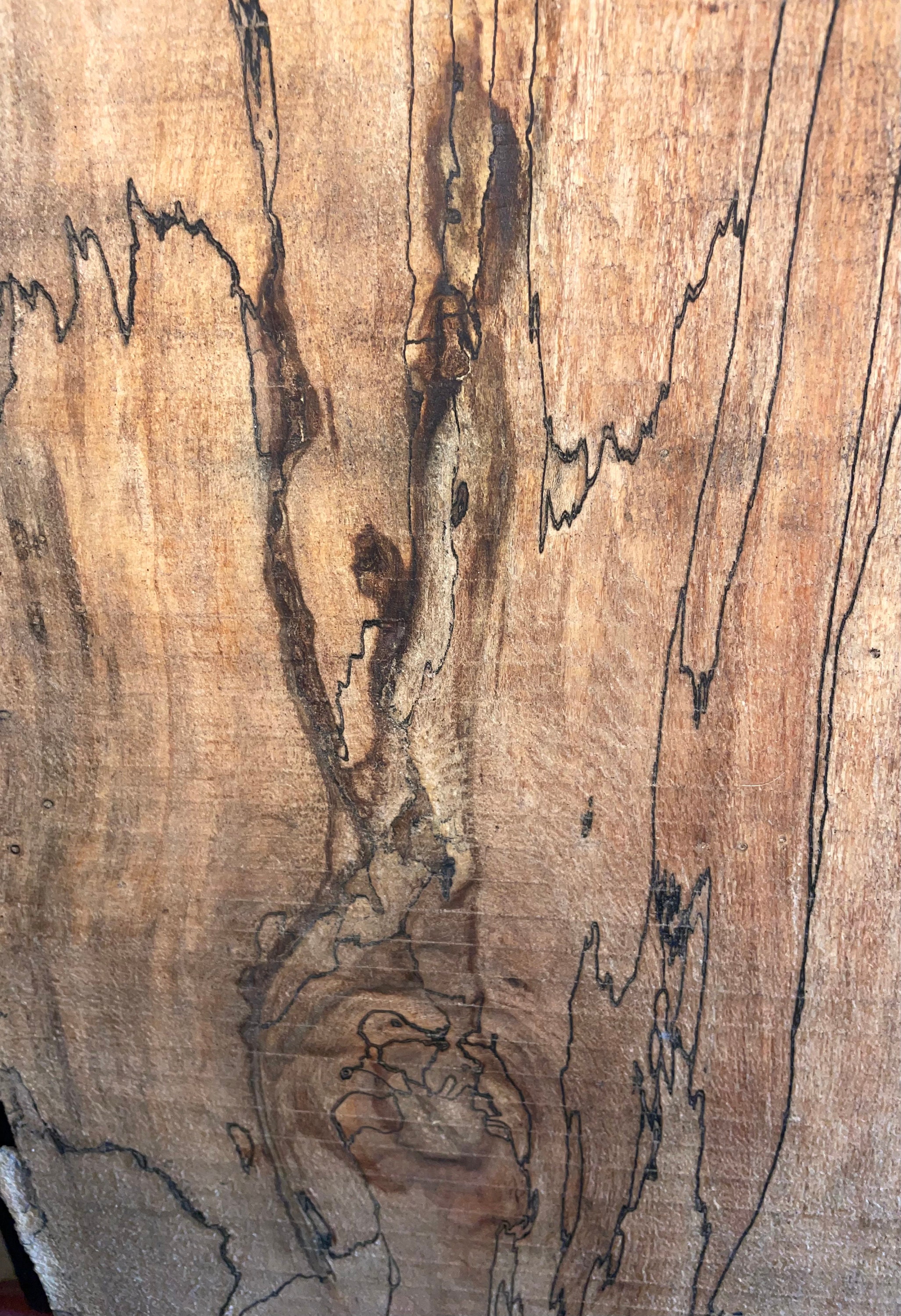 Spalted Maple Slab 1602 - Etsy
