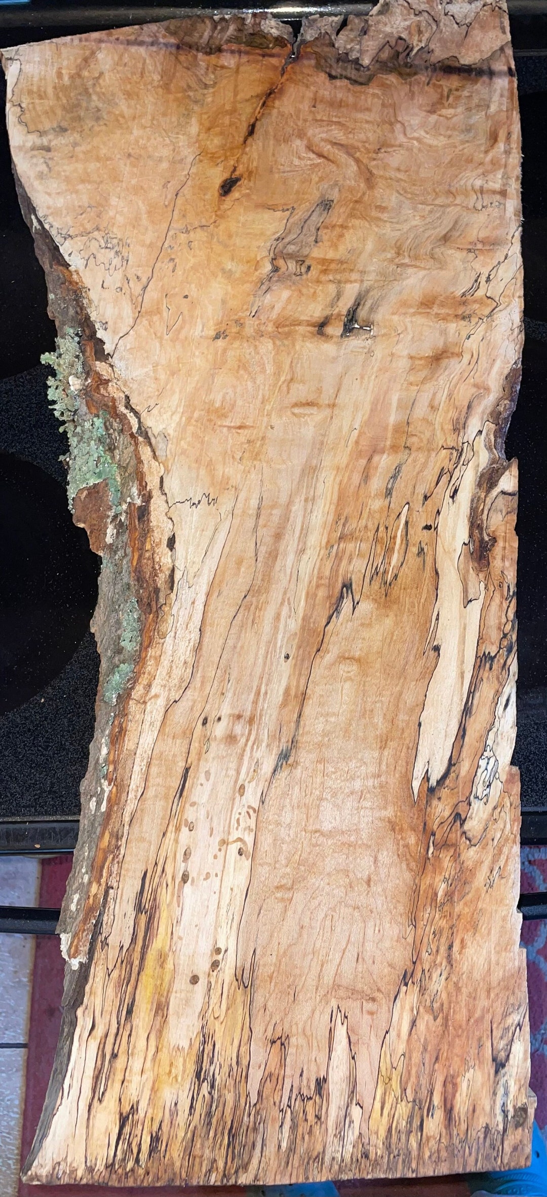 Spalted Maple Slab #1728 - Etsy