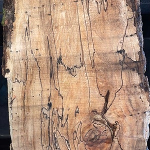 Spalted Maple Slab #1602 - Etsy