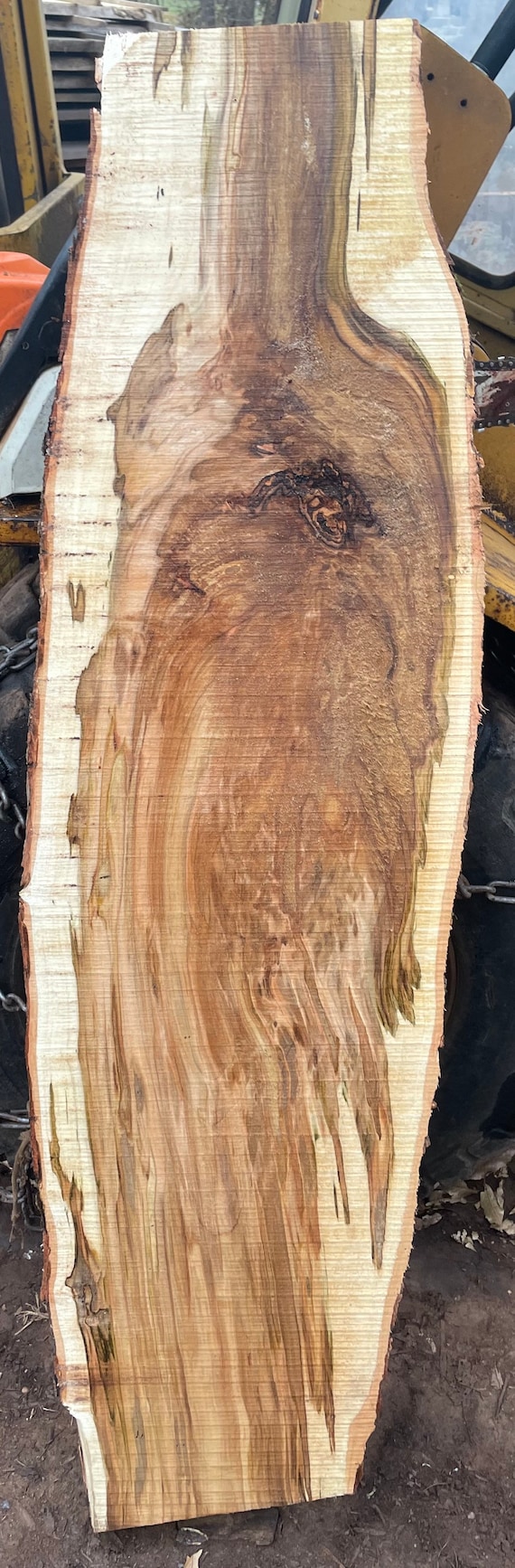 Ambrosia wormy Soft Maple Slab 1234 - Etsy