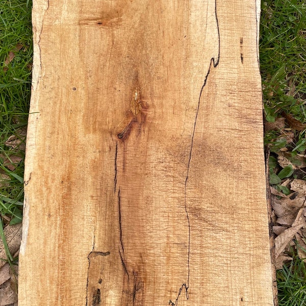 Spalted Wood Slab - Etsy