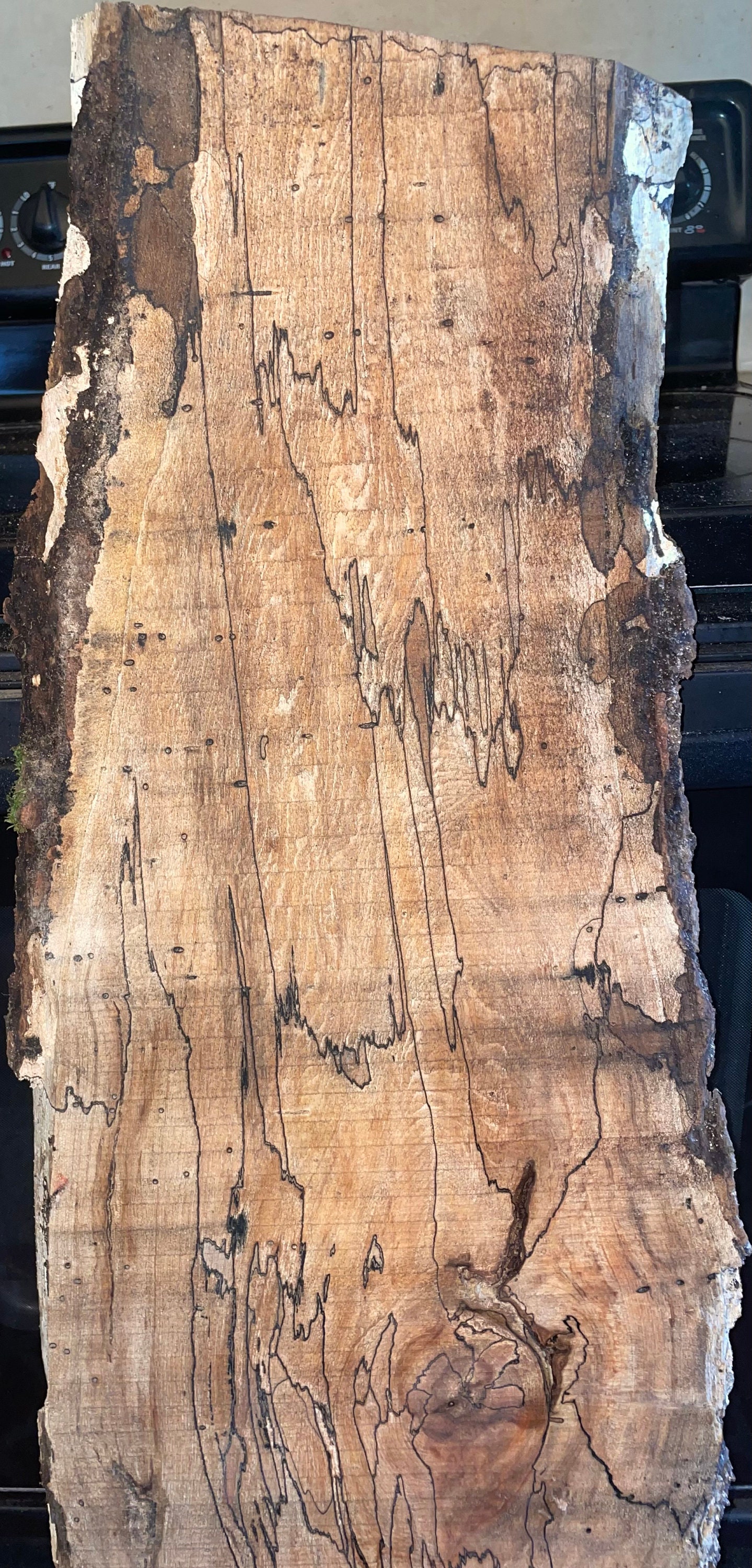 Spalted Maple Slab #1602 - Etsy