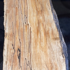Spalted Maple Slab #1837 - Etsy