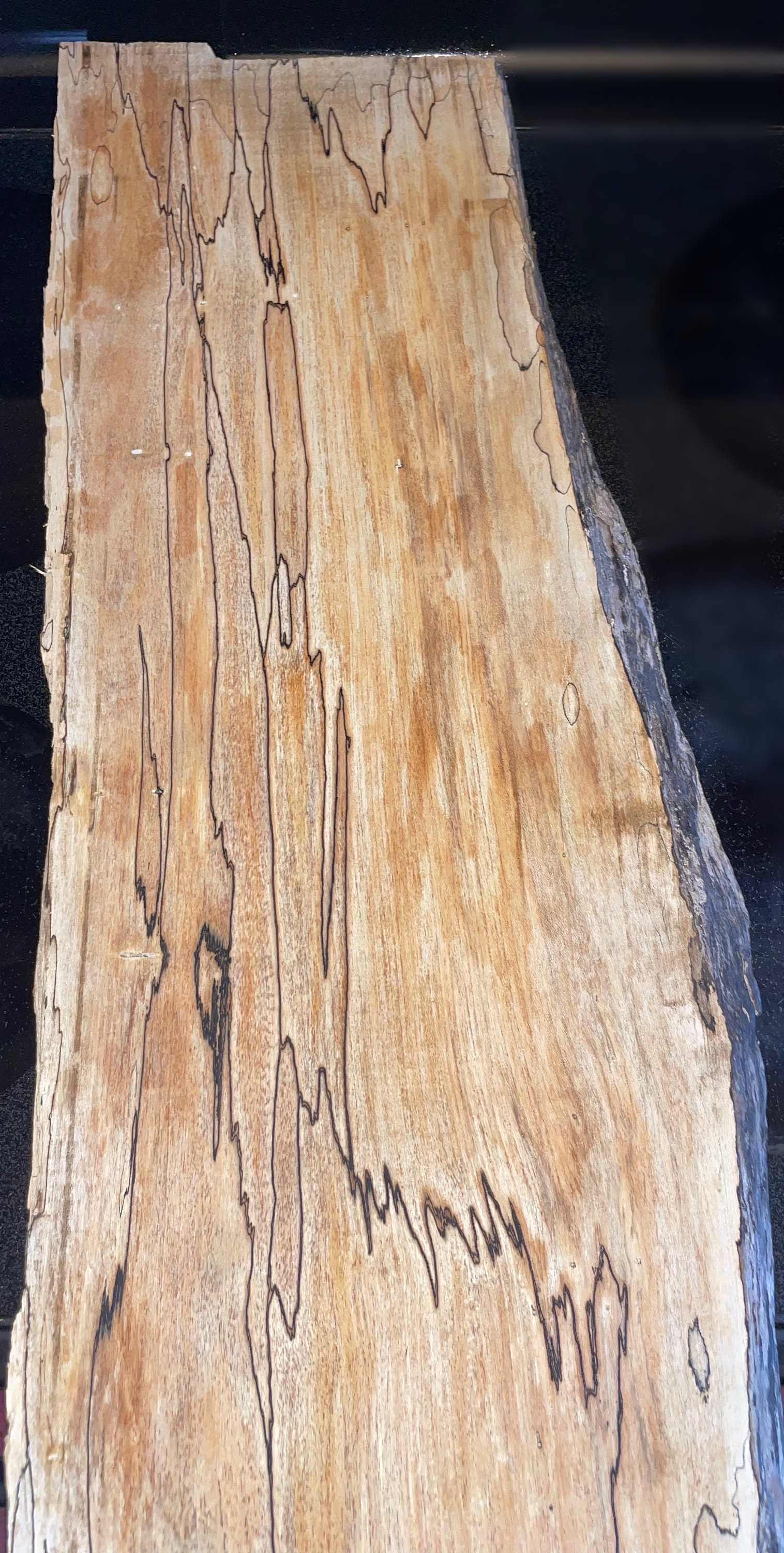 Spalted Maple Slab 1837 - Etsy