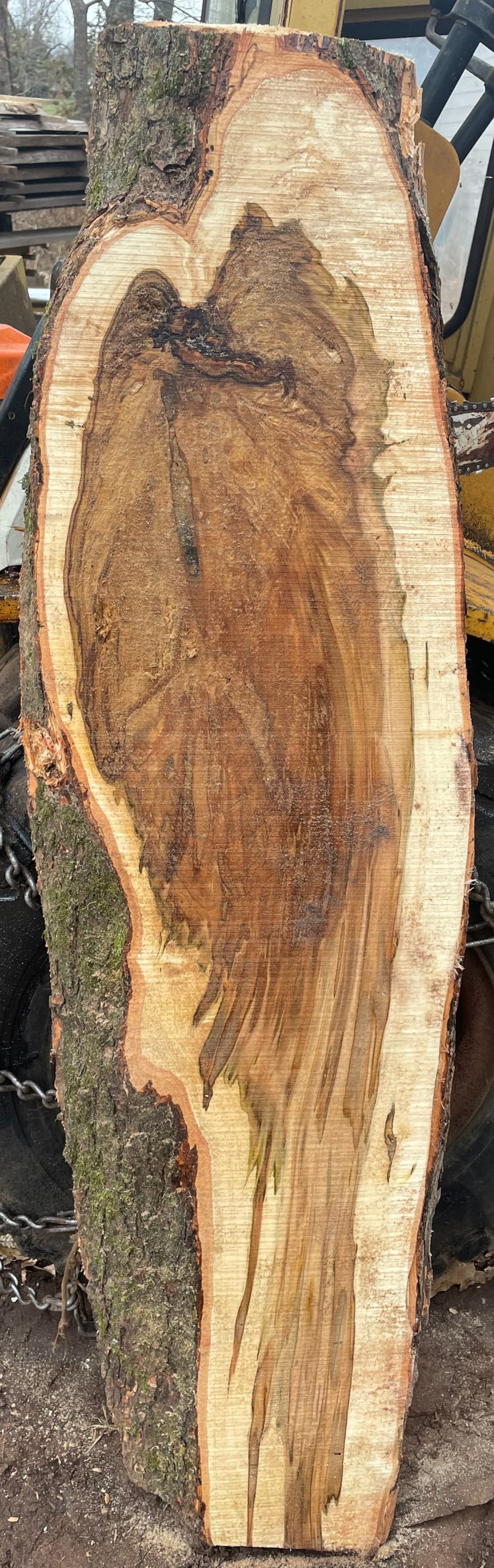 Ambrosia wormy Soft Maple Slab 1234 - Etsy