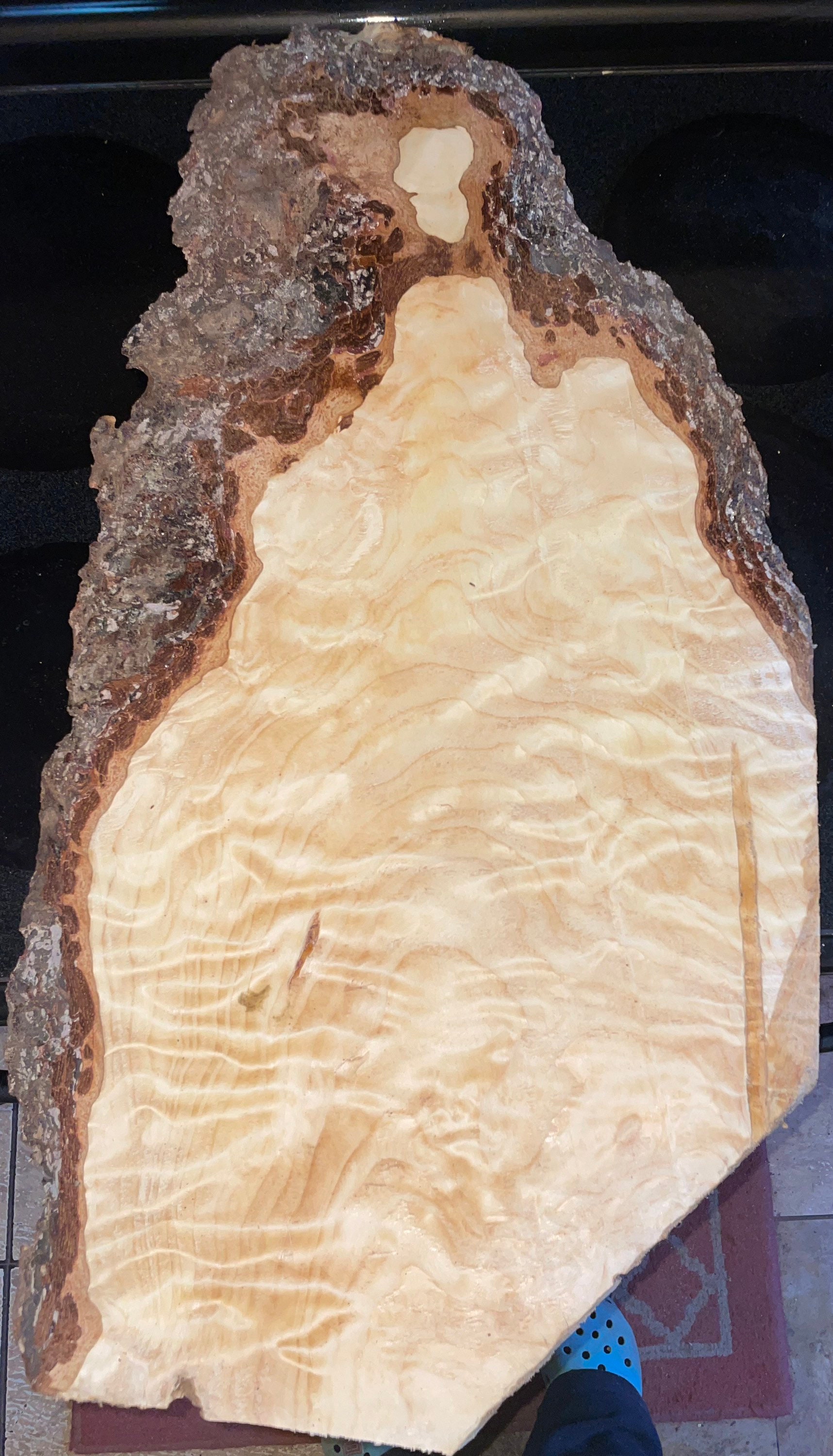 Curly Pine Slab 1547 - Etsy
