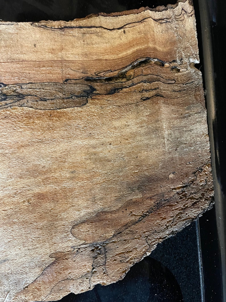 Spalted Maple Slab #1713 - Etsy