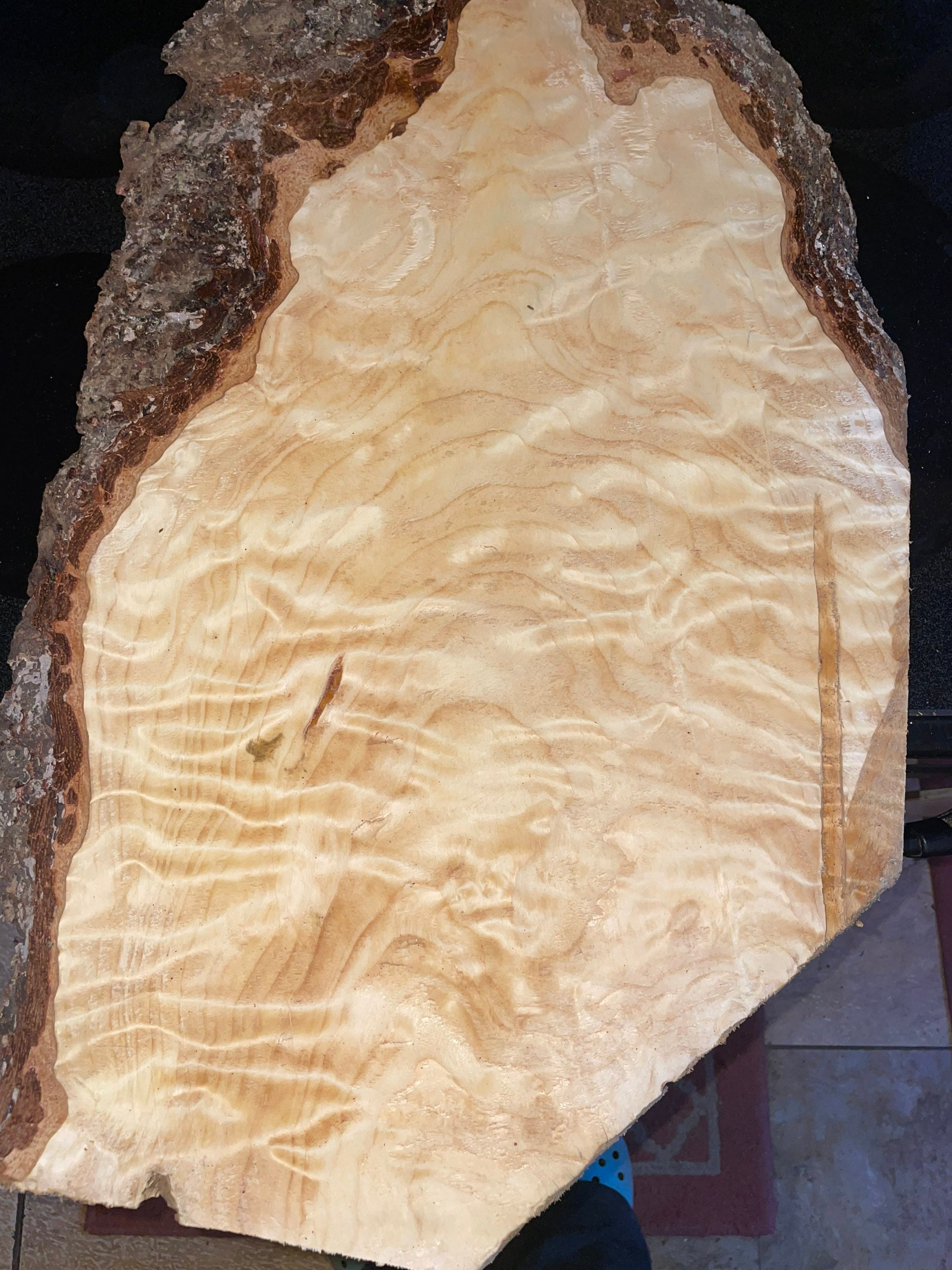Curly Pine Slab 1547 - Etsy