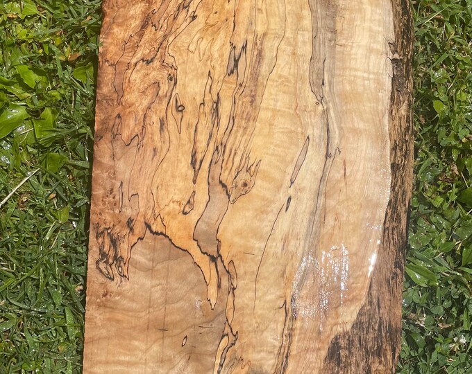 Spalted & Curly Maple Slab #1905 - Etsy