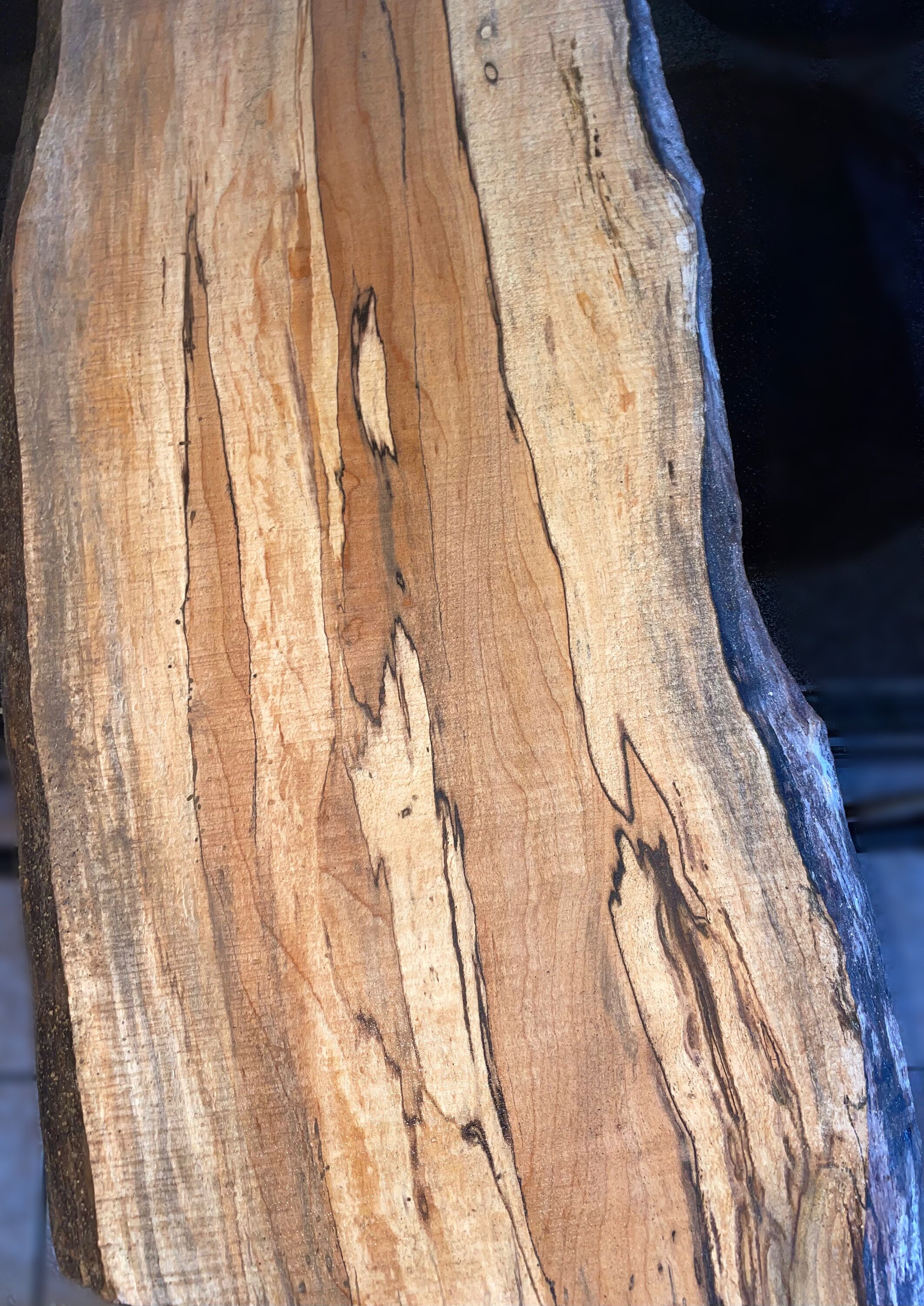 Spalted Maple Slab 1805 - Etsy