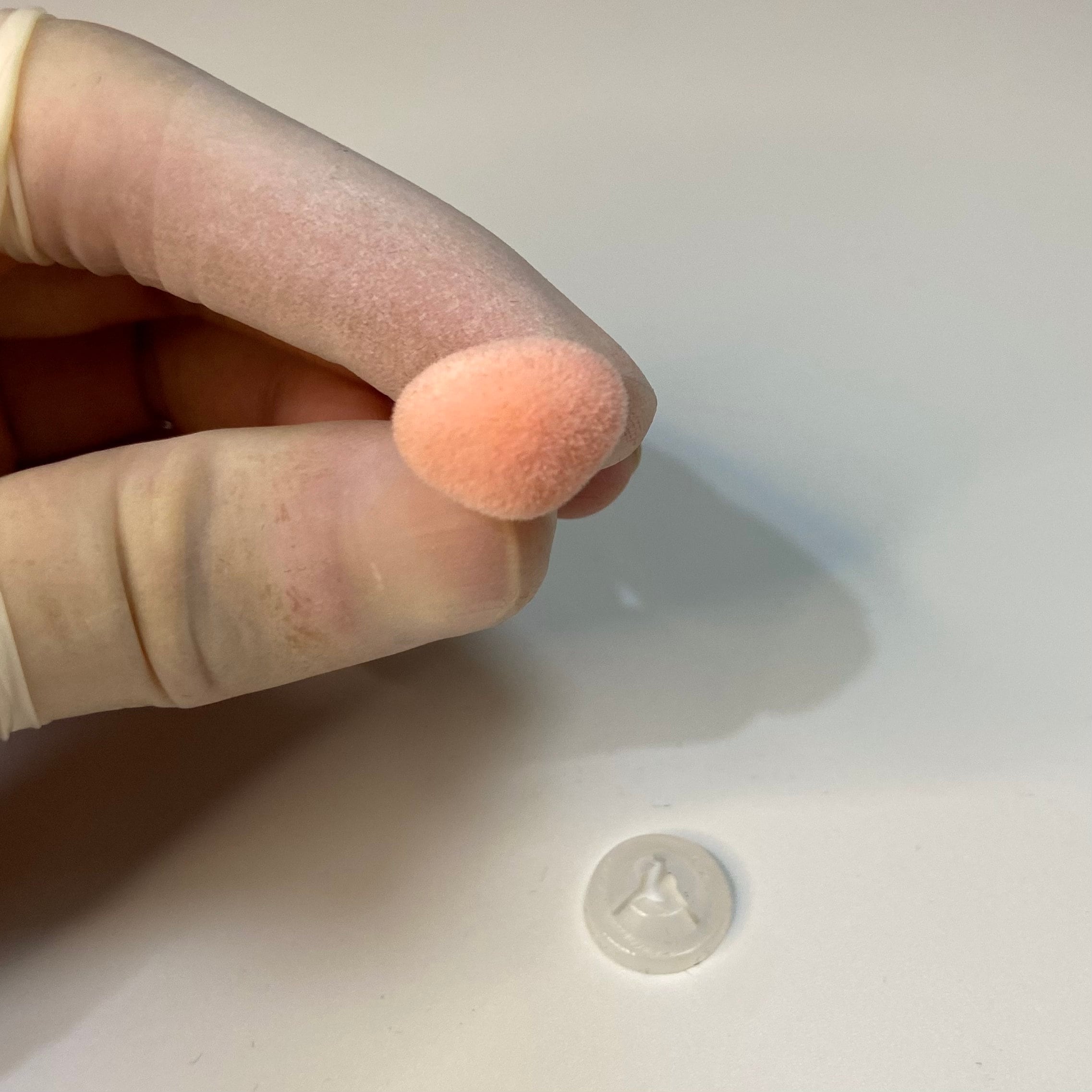 Adorable Animal Triangle Noses for Teddy Bears and Plush Toys DIY ...