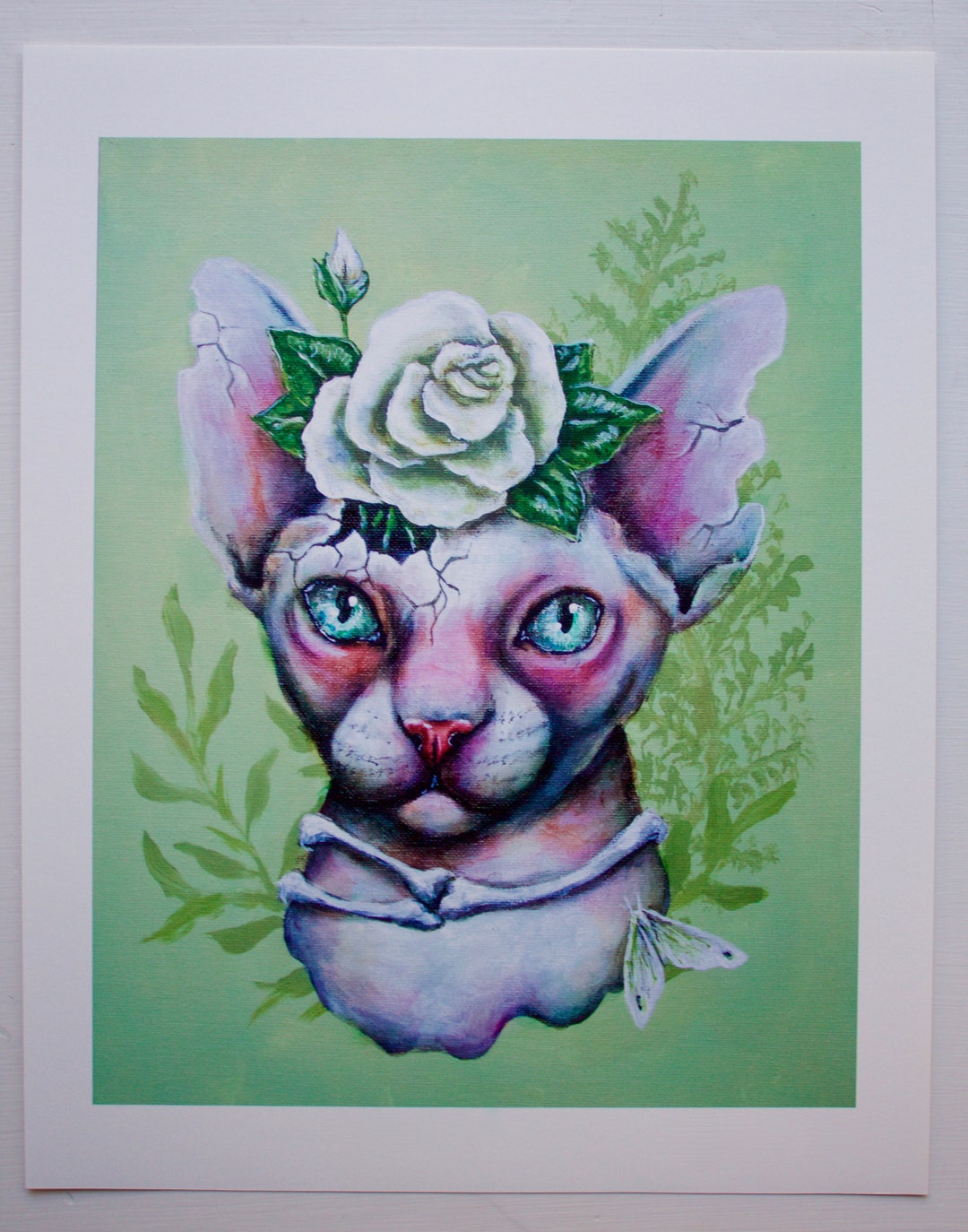 Cat Art Print Fragile Beauty Sphynx Cat Art Pretty Cat - Etsy