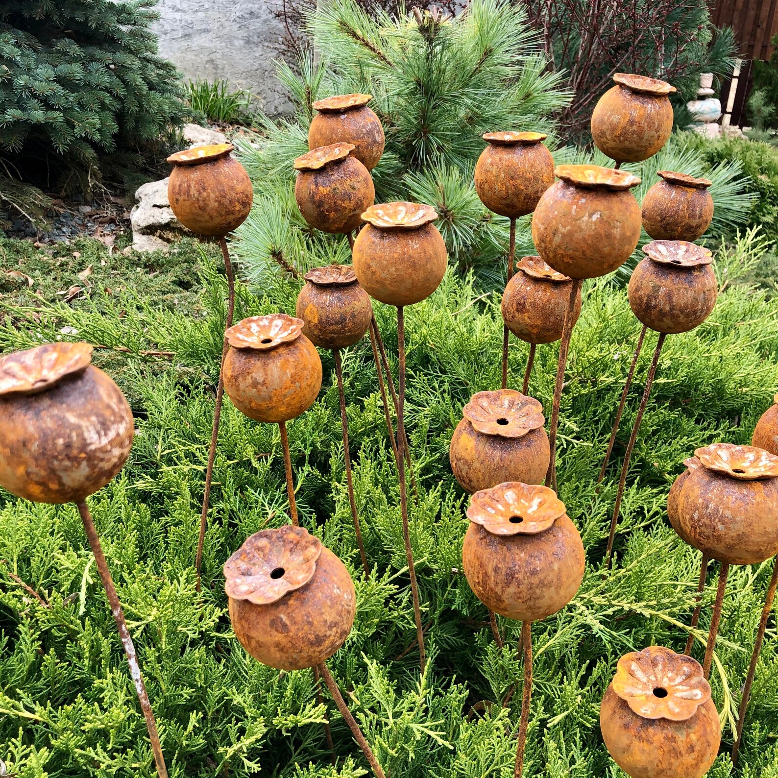 Rusty Flowers Set of 20, Poppy Seed Head Garden Decor, Metal Garden ...