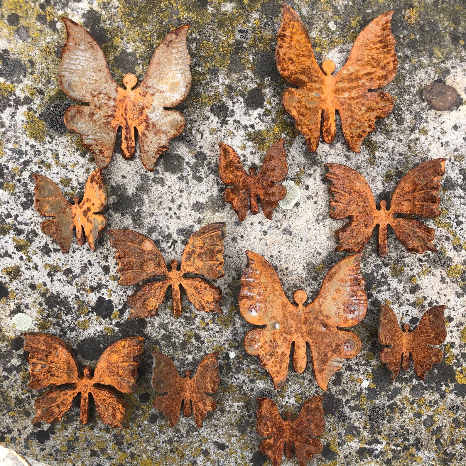 Wall rusty butterfly set Rusty metal wall decor Rusty metal | Etsy