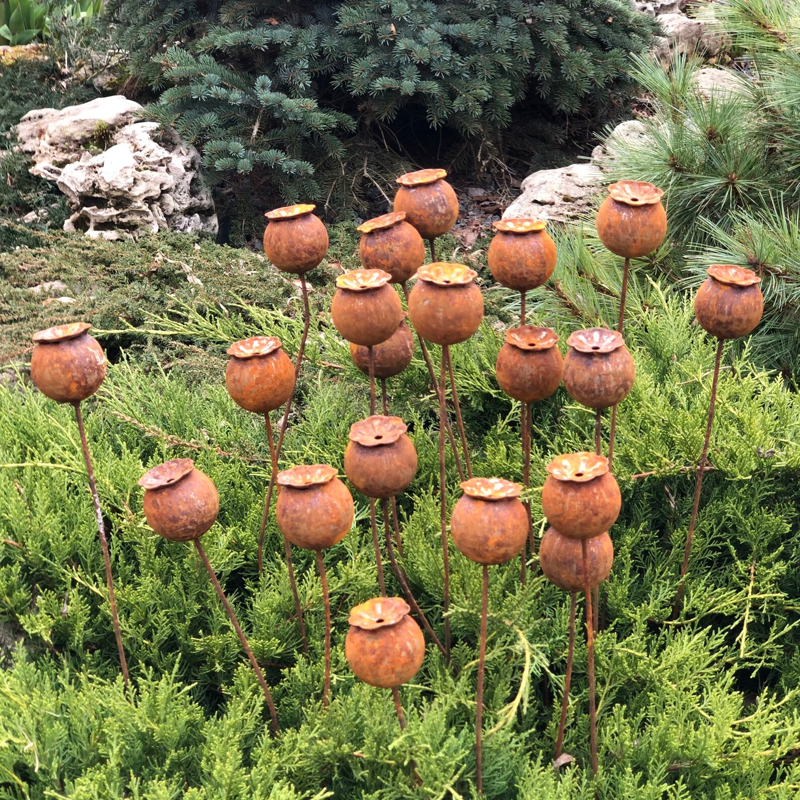 Rusty Flowers Set of 20, Poppy Seed Head Garden Decor, Metal Garden ...