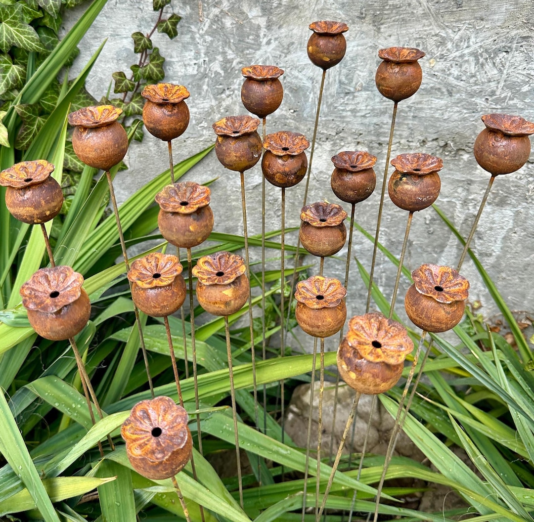 Rusty Flowers Set of 20, Poppy Seed Head Garden Decor, Metal Garden ...