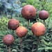 Rusty Balls Set of 6, Garden Stakes Garden Decor, Metal Garden Decor ...