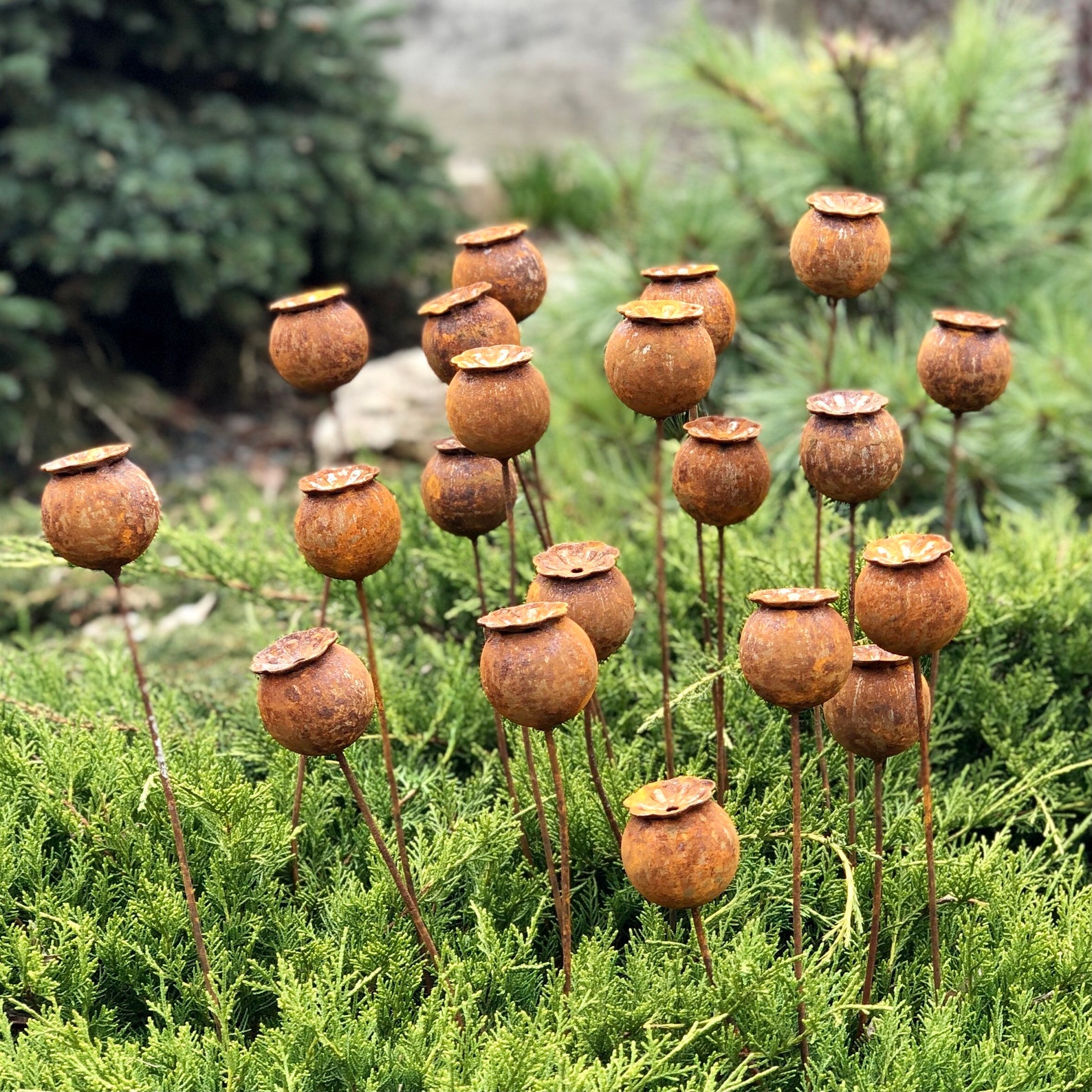 Rusty Flowers Set of 20, Poppy Seed Head Garden Decor, Metal Garden ...
