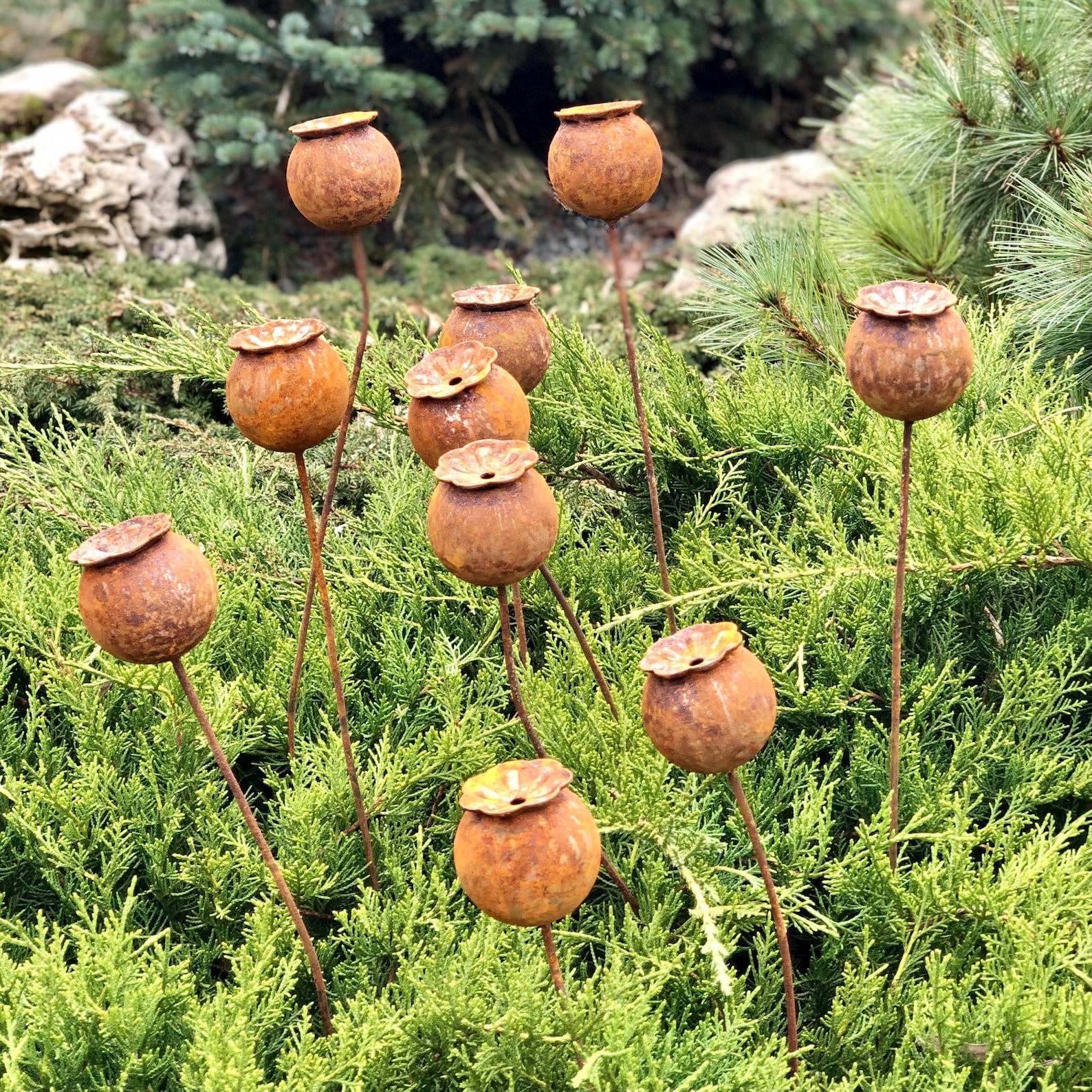 Rusty Flowers Set of 10, Poppy Seeds Head Garden Decor, Metal Garden ...