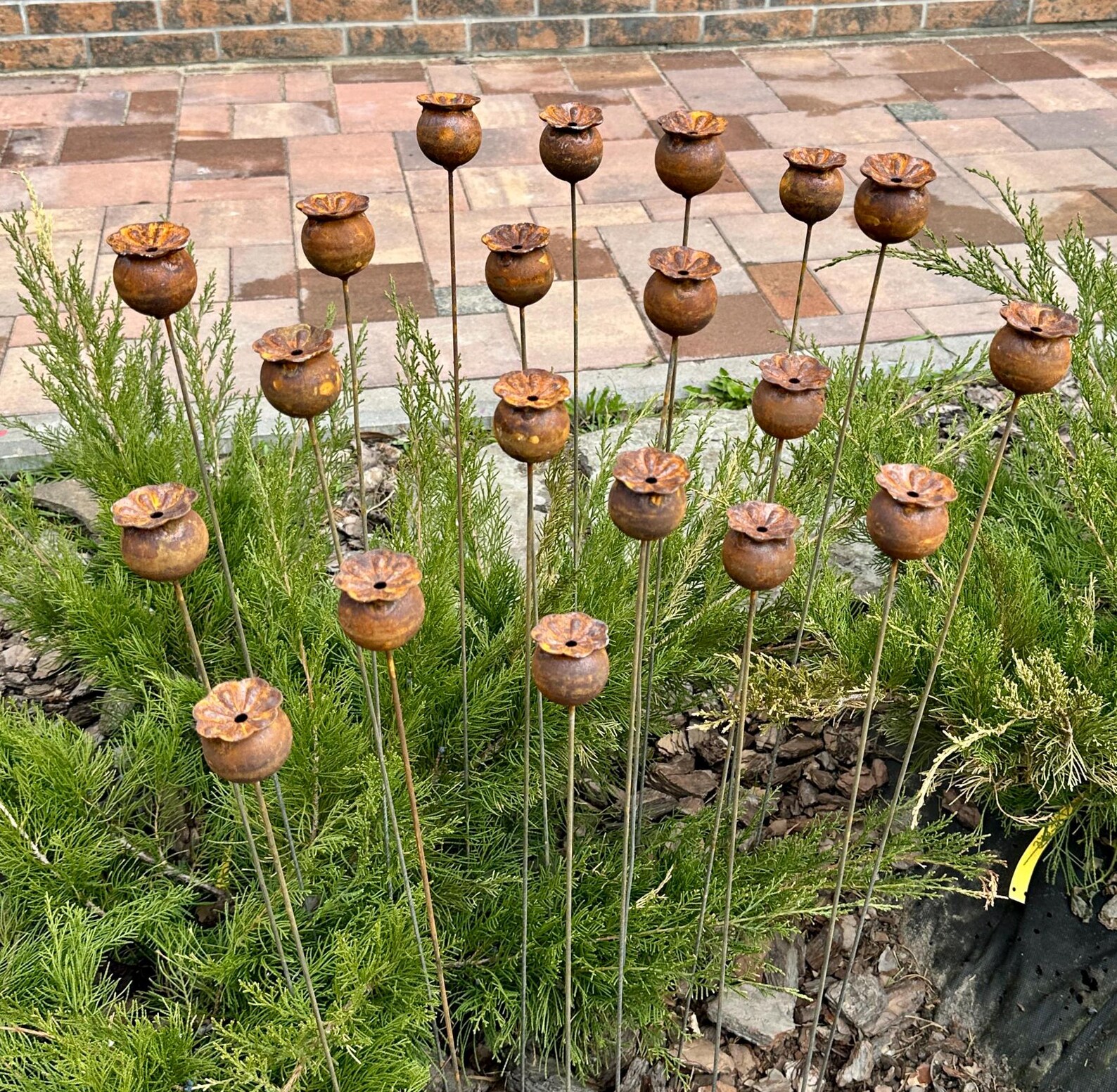 Rusty Flowers Set of 20, Poppy Seed Head Garden Decor, Metal Garden ...