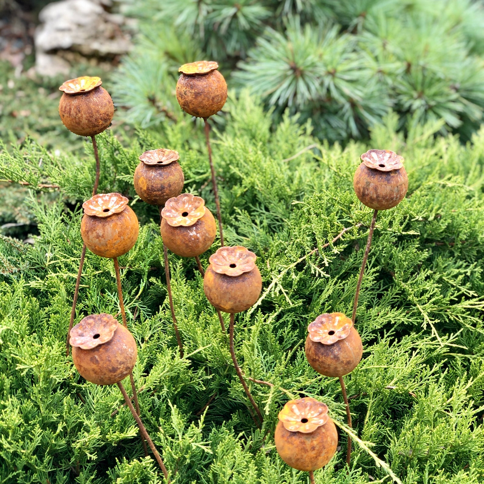 Rusty Flowers Set of 10, Poppy Seeds Head Garden Decor, Metal Garden ...