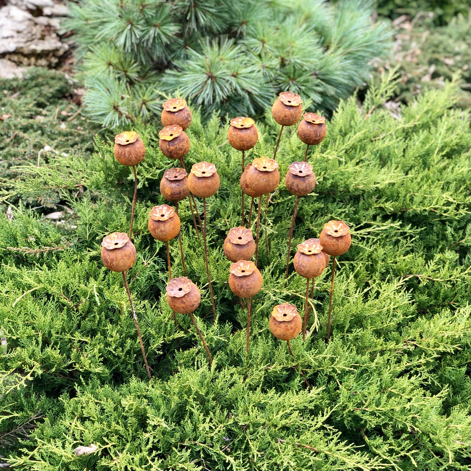 Rusty Flowers Set of 20, Poppy Seed Head Garden Decor, Metal Garden ...
