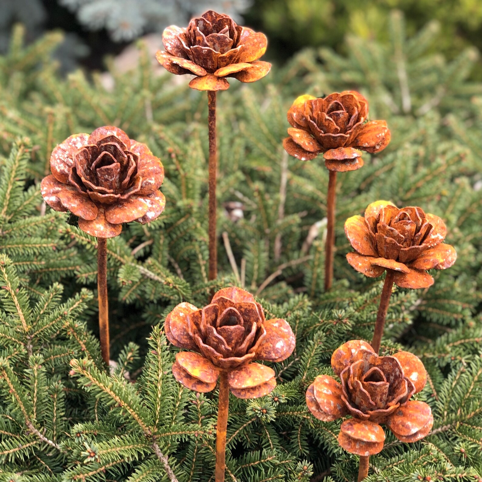 Rusty Flowers Set of 6 Garden Stakes Garden Decor Metal - Etsy