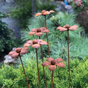 Rusty Flowers Set of 6 – Garden Stakes, Metal Garden Decor, Rustic Yard ...