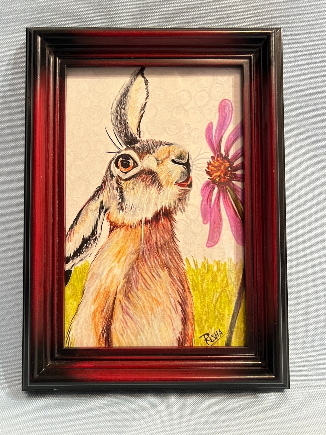 Rabbit or Hare With Echinacea Flower - 4x6" Print of Original Drawing ...